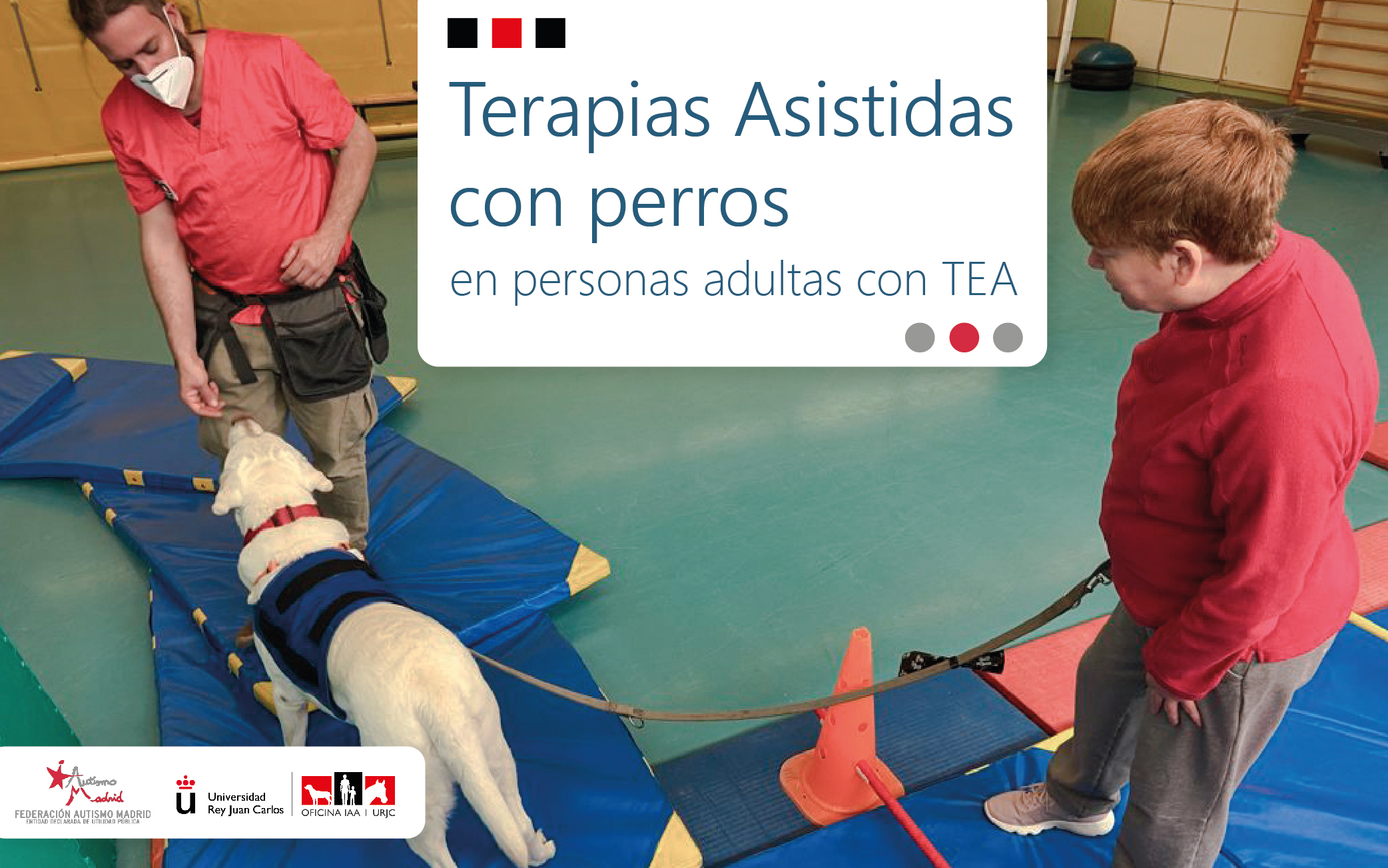 Autismo Madrid y la URJC presentan un proyecto de Terapias Asistidas ...